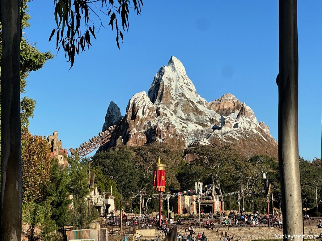 Animal Kingdom vs. EPCOT - Which Disney World Park is Best?