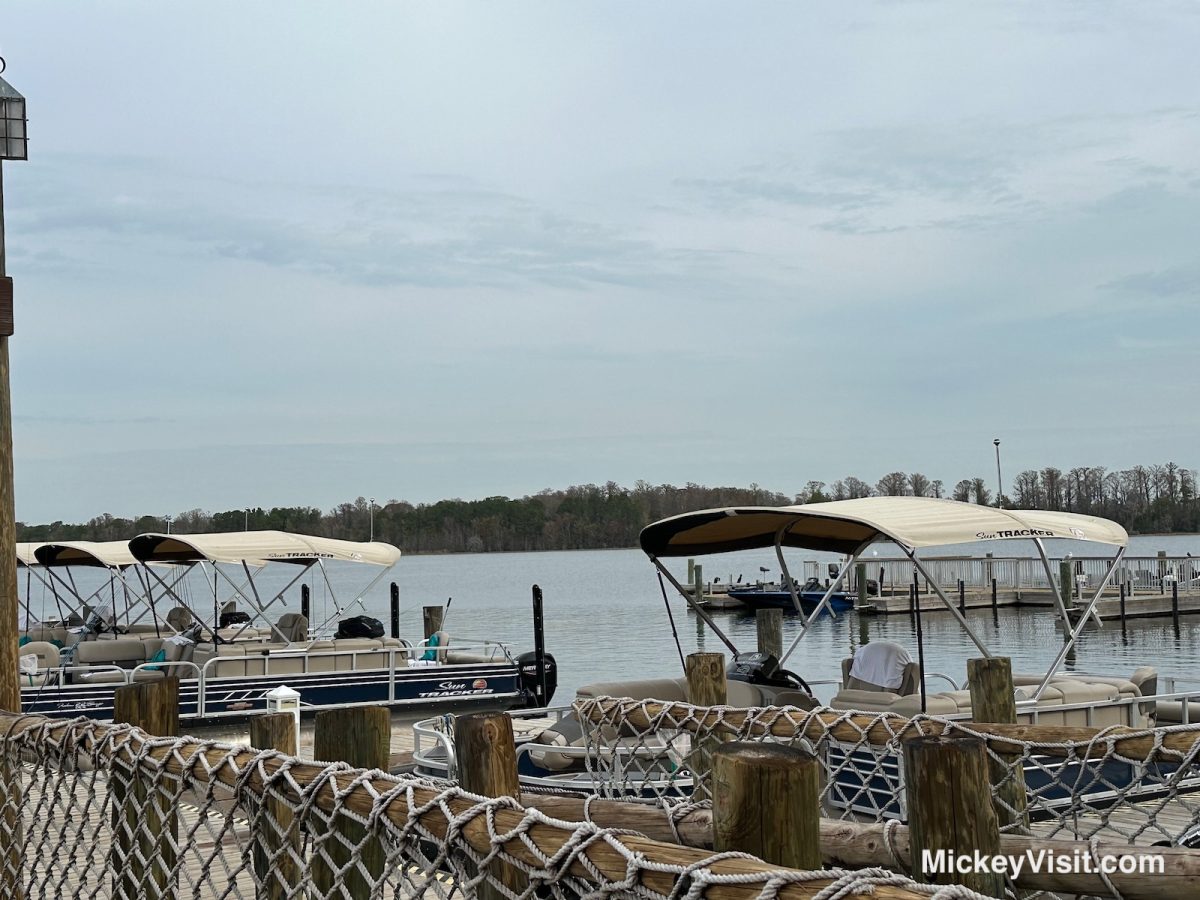 Beyond Theme Parks! We Explored Disney World's Wide Array of Sports ...