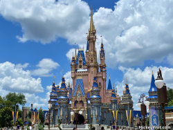 Disney World Customer Service- How to Call Disney, FAQs, Tips