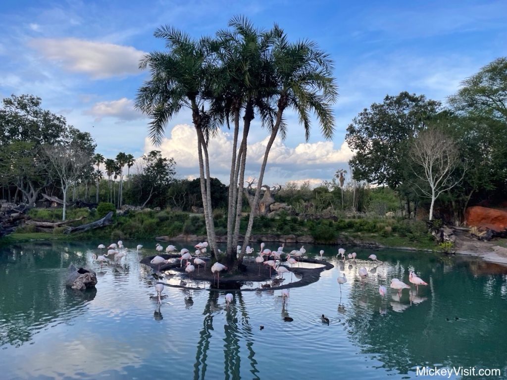 Hidden Mickeys at Disney World - Find Them All!