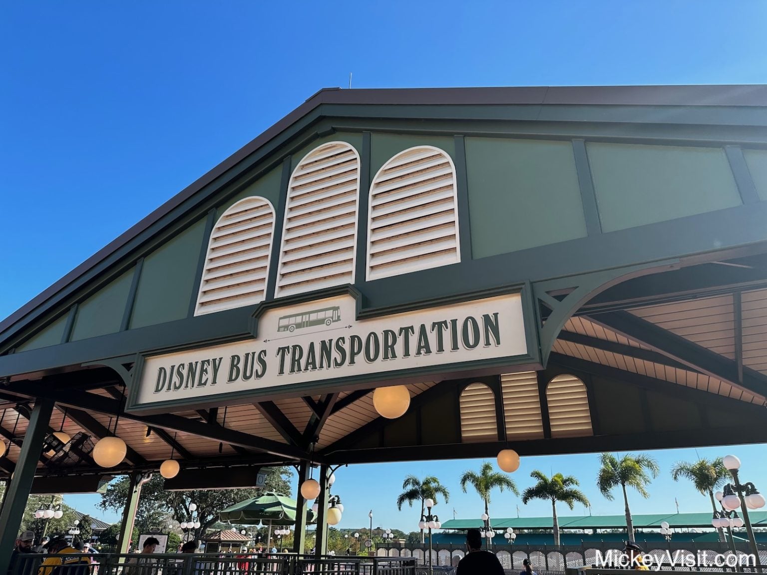Disney World Buses With Enhanced Accessibility Features Coming Soon