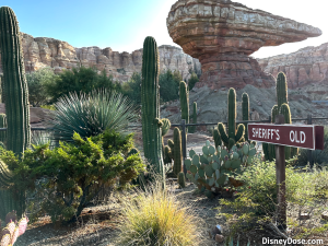 Disney Travel Insurance Plans - Worth It? Top Tips - Mickey Visit ...