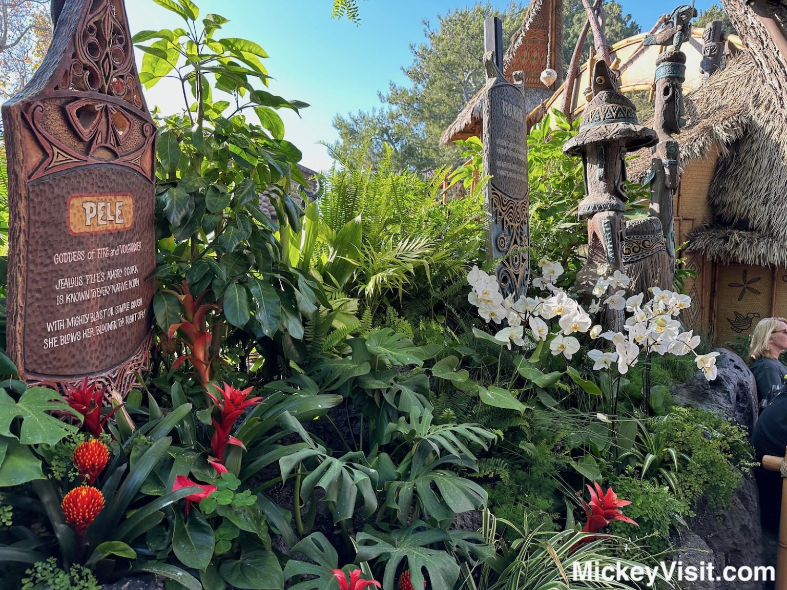10 Interesting Secrets of Walt Disney's Enchanted Tiki Room