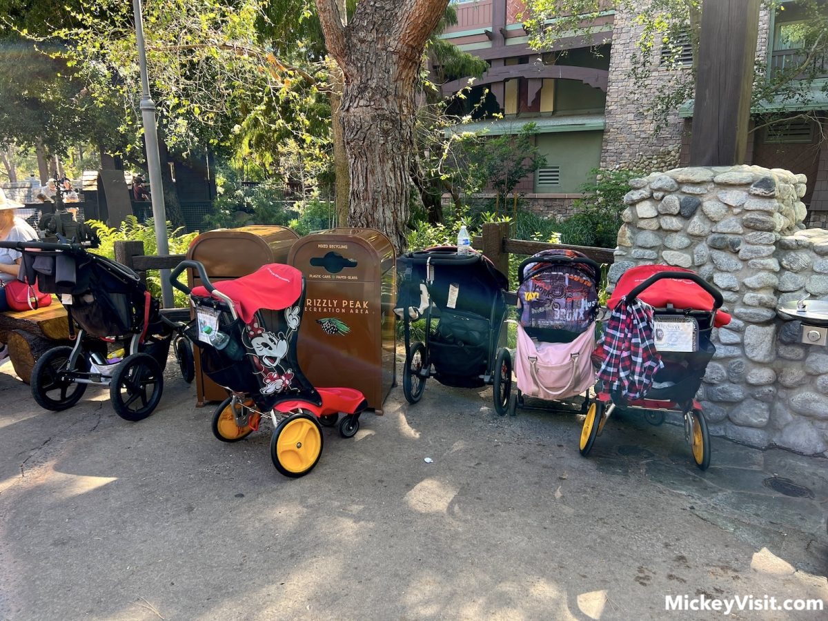 Sadly Stolen Strollers Do Happen at Disney—Here's How to Avoid It ...