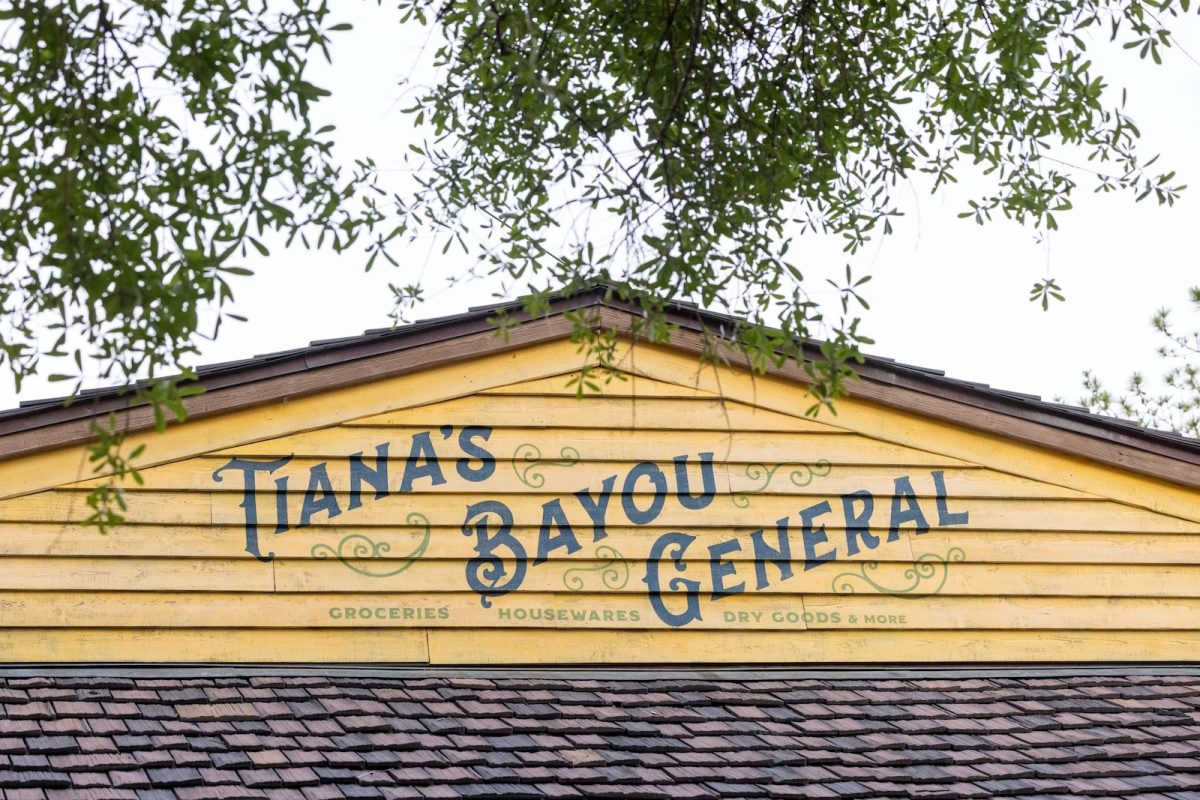 Tiana's Bayou Adventure - All Details on New Princess & Frog Ride