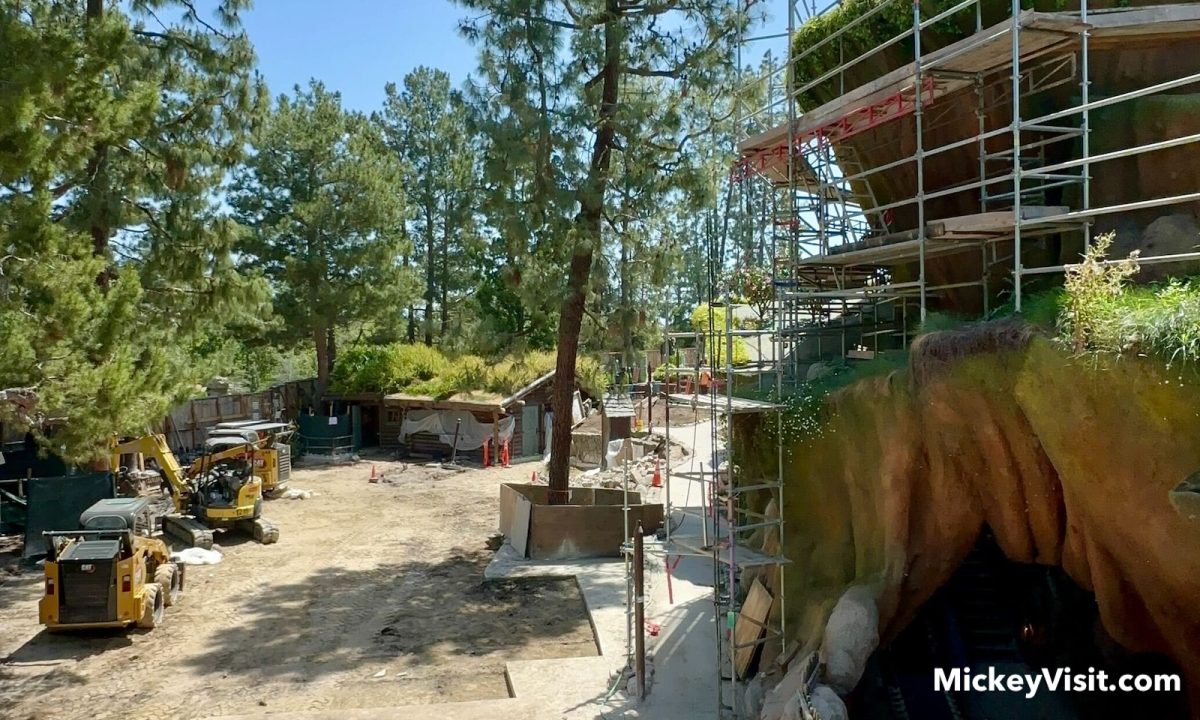 Disneyland UPDATE! Critter Country CONSTRUCTION, Pixar Fest ...