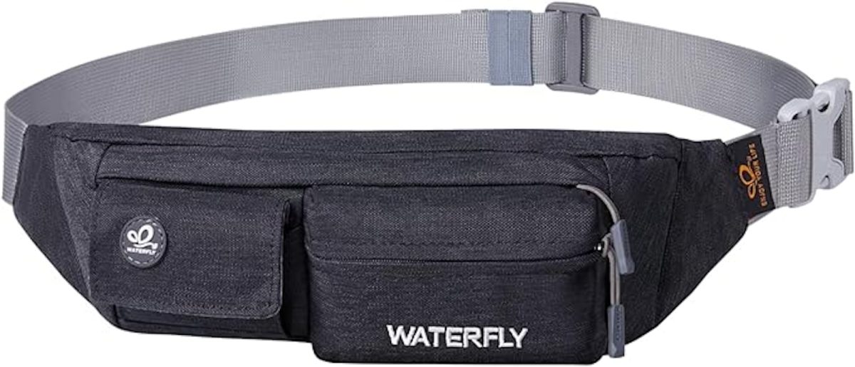 Our Top 5 Best Fanny Packs For Disney & Universal Theme Park Days ...