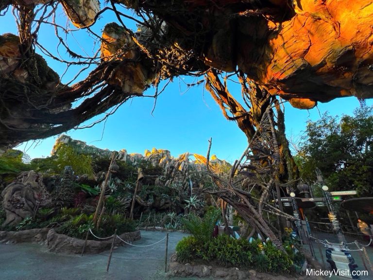 Disney World’s Flight of Passage - What Should I Be Afraid Of? - Mickey ...