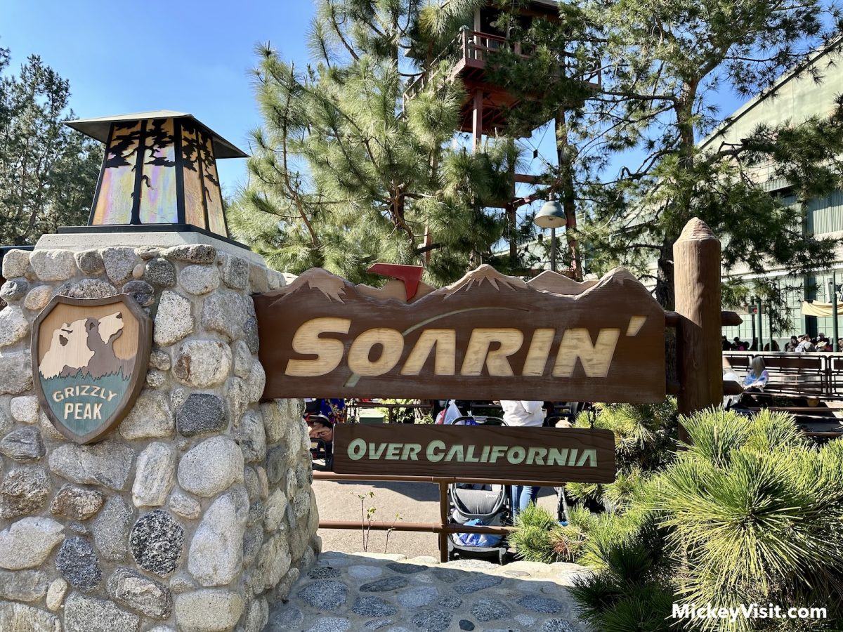 3 Disneyland Single Rider Lines You Should Use & 2 To Skip
