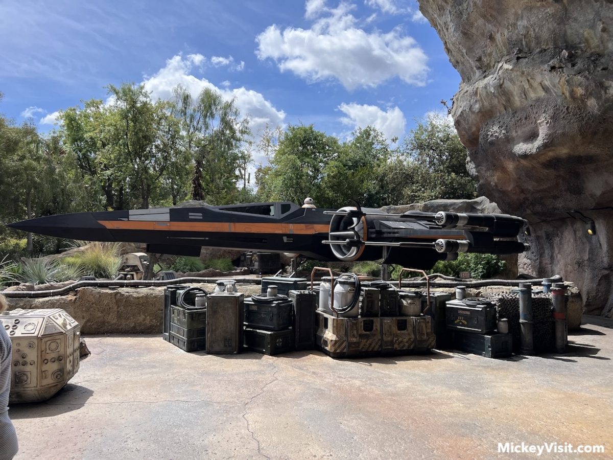 We Visit Disney Parks Weekly. You Really Don't Want to Forget These 10 ...