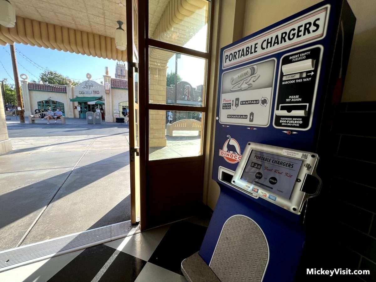 Disney Guests End Up Buying These 9 Common Items They Should've Brought ...