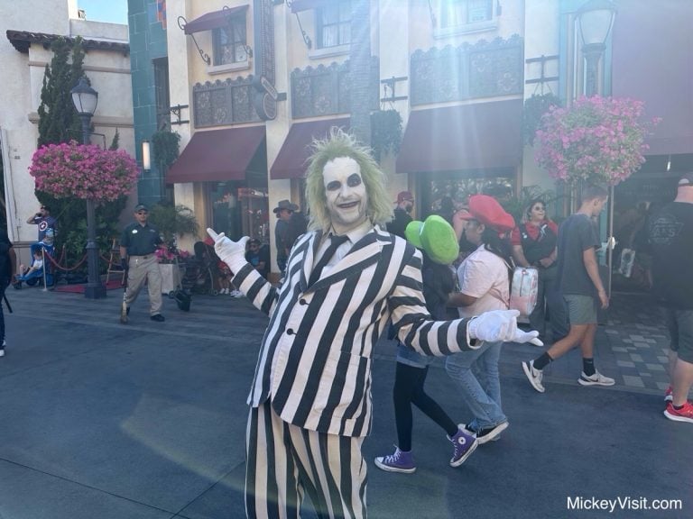 Universal Studios Hollywood VIP Tour- Is It Worth It?