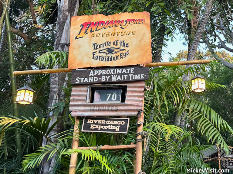 10 Cleverly Concealed Details You May Have Missed In Disneyland’s ...
