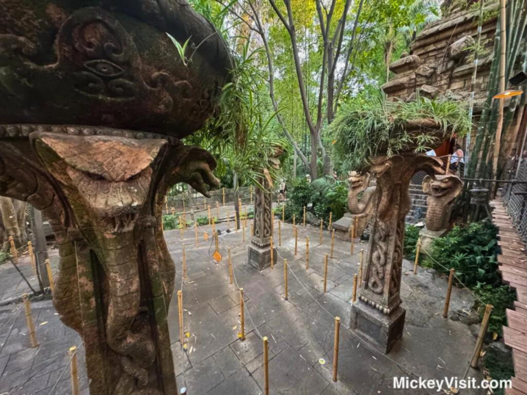 10 Cleverly Concealed Details You May Have Missed In Disneyland’s ...