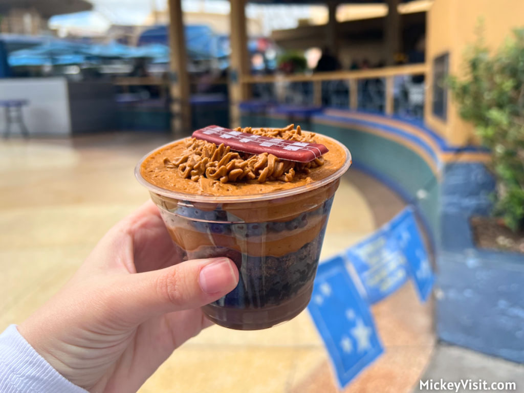 Top 9 Best Disney Snacks We Always Rely on to Save Money - Mickey Visit ...