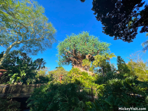 14 Ways That Disney World Uses Landscaping to Create Immersive ...