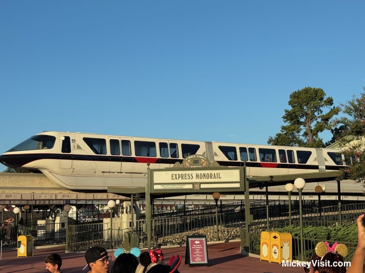 Essential Disney World Lightning Lane Tips to Ride the Most. I Have ...