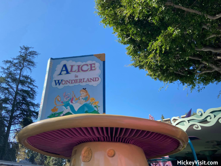 How Disney Uses Psychology to Influence Your Theme Park Visit - Mickey ...