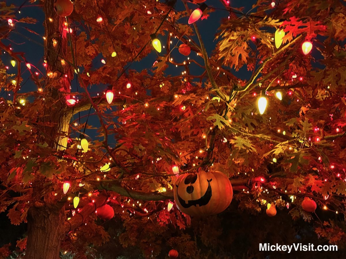 This Disneyland Tree is Decorated to Honor One of Disney's Biggest ...