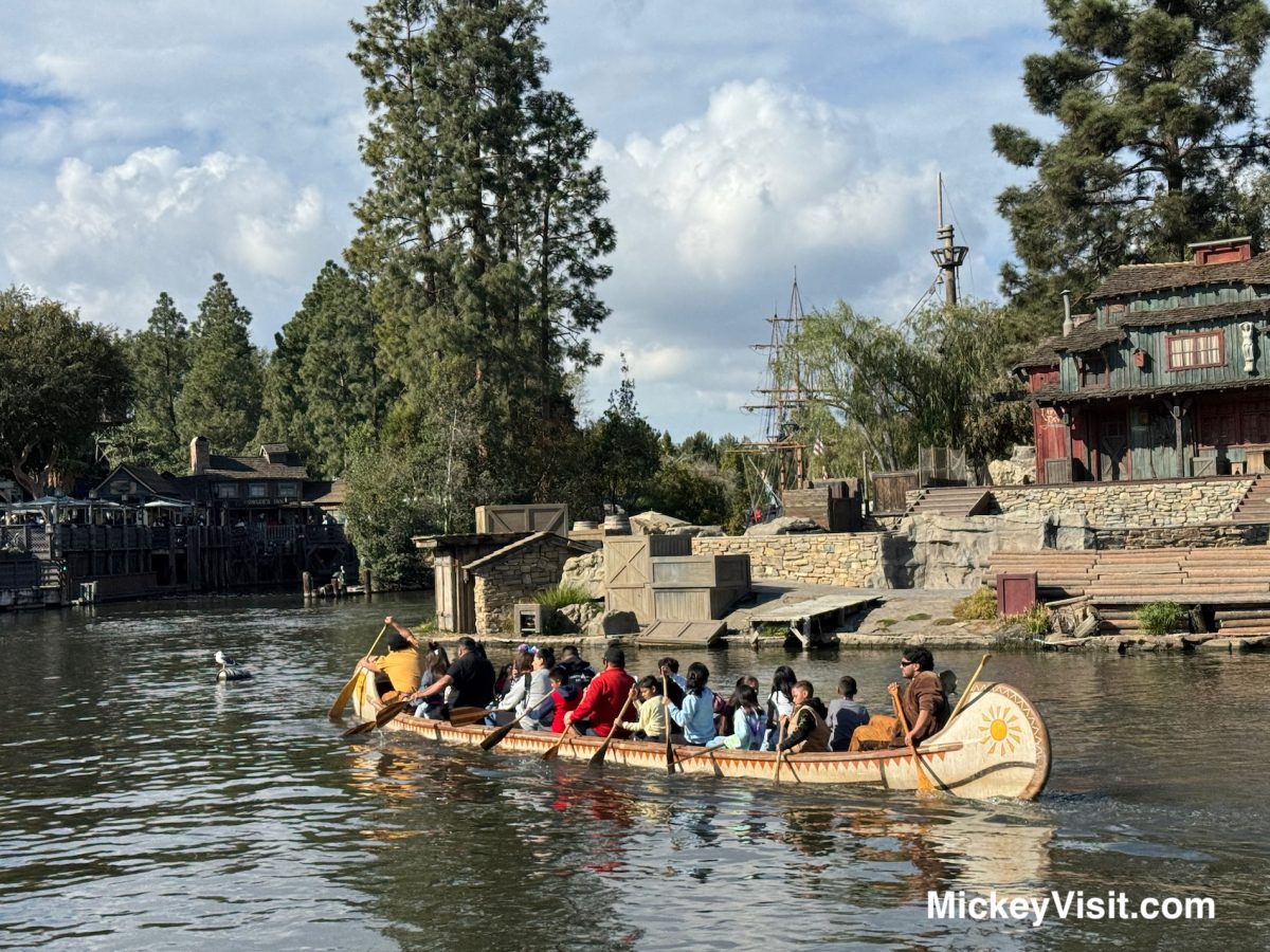 I’ve Been Visiting Disneyland Since I Was a Child and I Finally Tried ...