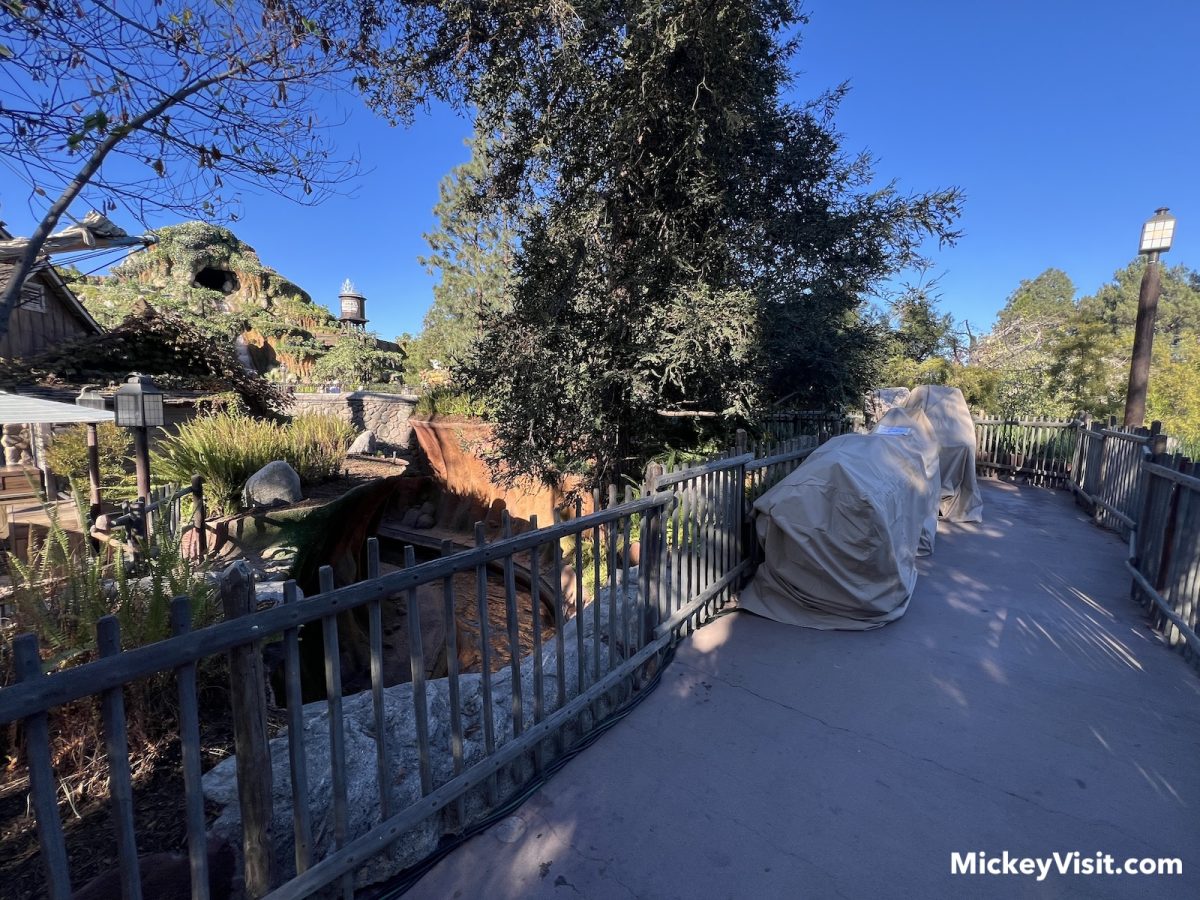 You May Have Never Noticed These Secret Pathways at Disneyland