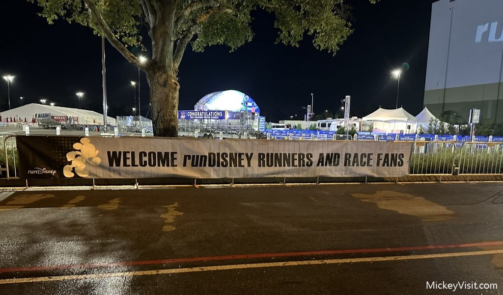 10 Reasons Why You Need To Experience a runDisney Race - Mickey Visit ...