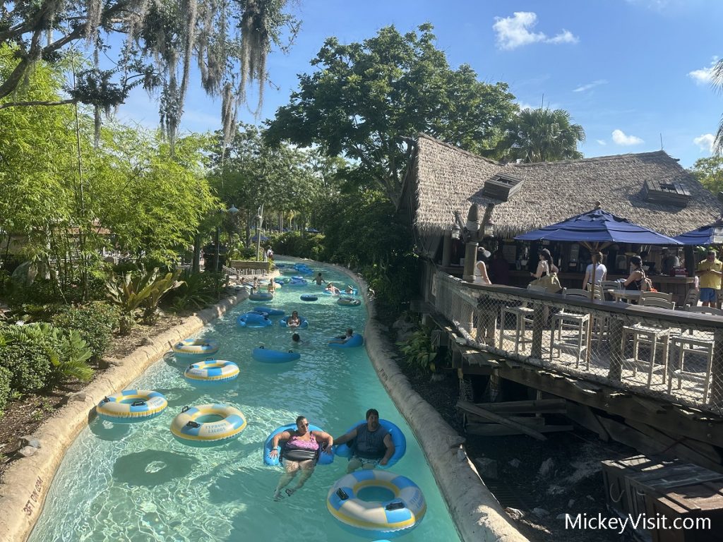 Why You Need to Visit the Walt Disney World Water Parks in 2025 ...