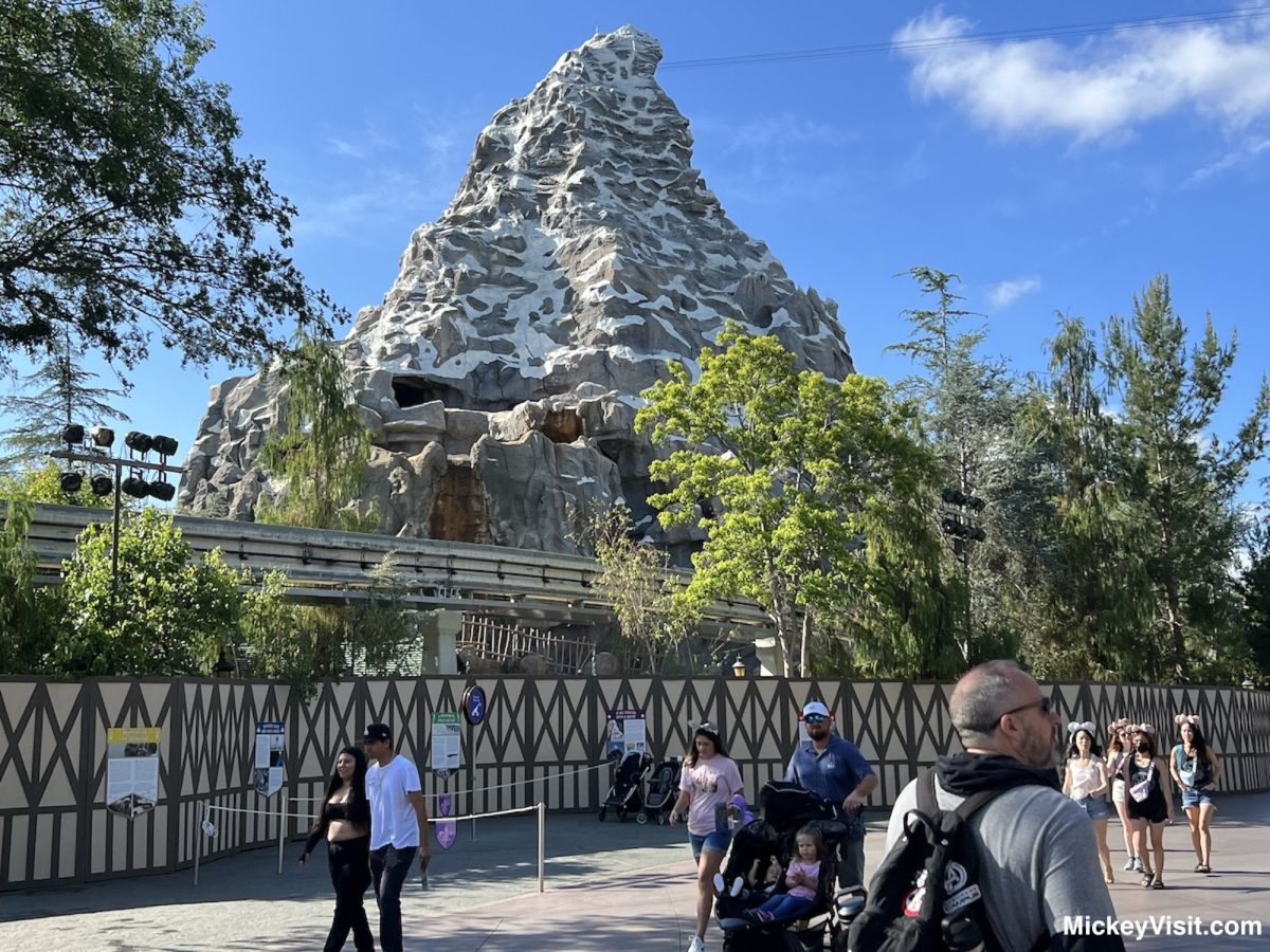 Inventors Behind Disneyland's Original (and Most Back Breaking) Roller ...
