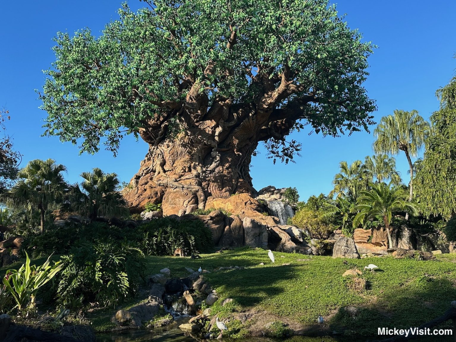 Disney Reveals CLOSING Date for Longtime Disney World Attraction and ...
