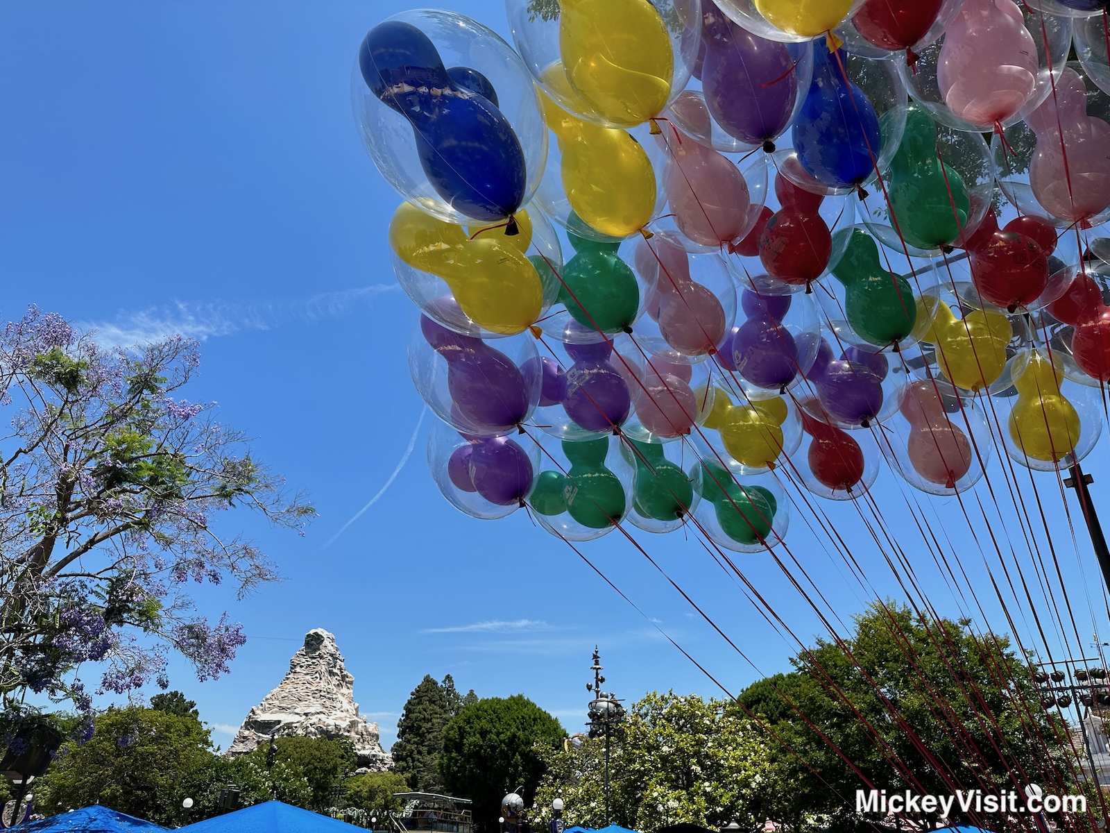 Disney World Desserts: Top 16 Treats You Must Eat on Your Vacation