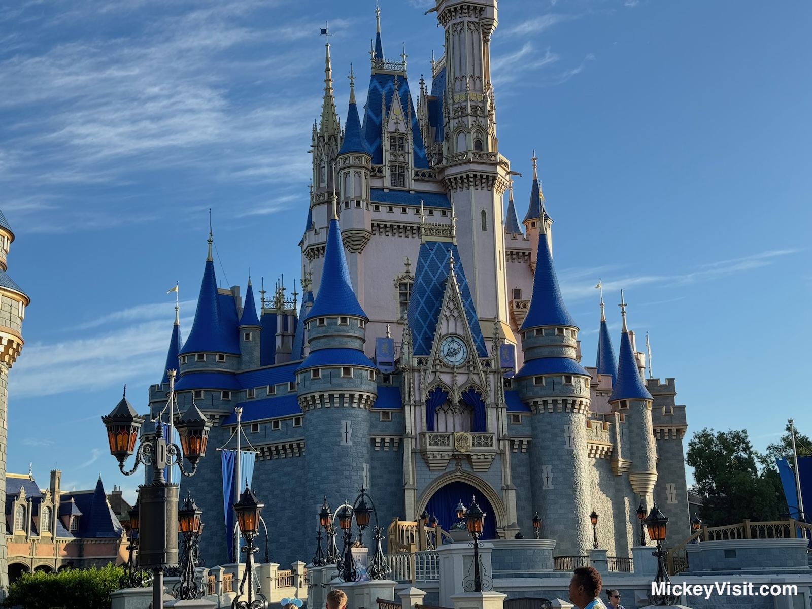 Disney Vacation Club Takes Over More Theme Park Space For New 'Château ...