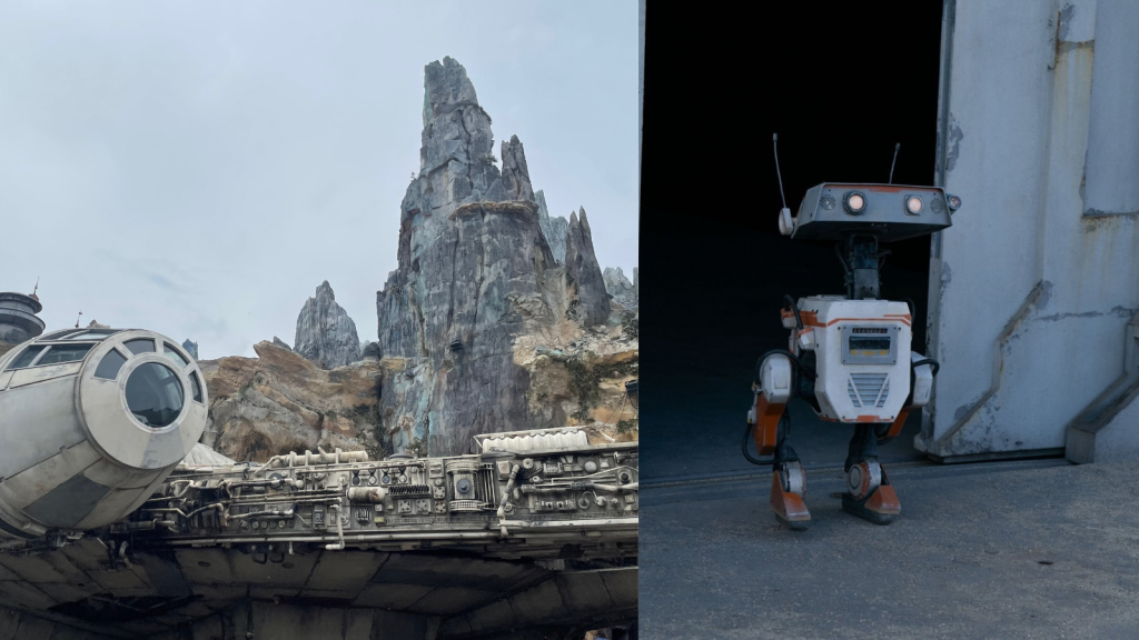 Cute Star Wars Droids Will Make Their Disney World Debut This Year ...