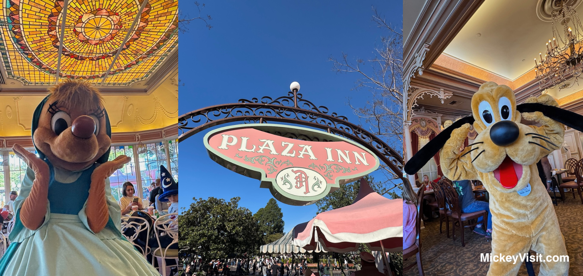 Minnie & Friends Character Dining Review- See Why I've Repeated This ...