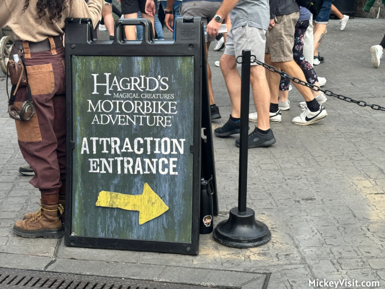10 Surprising Facts About Hagrid’s Magical Creatures Motorbike Adventure
