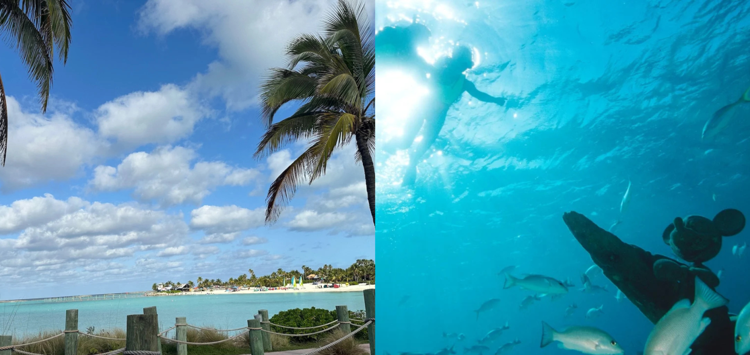Snorkeling on Disney's Castaway Cay- Port Excursion Review