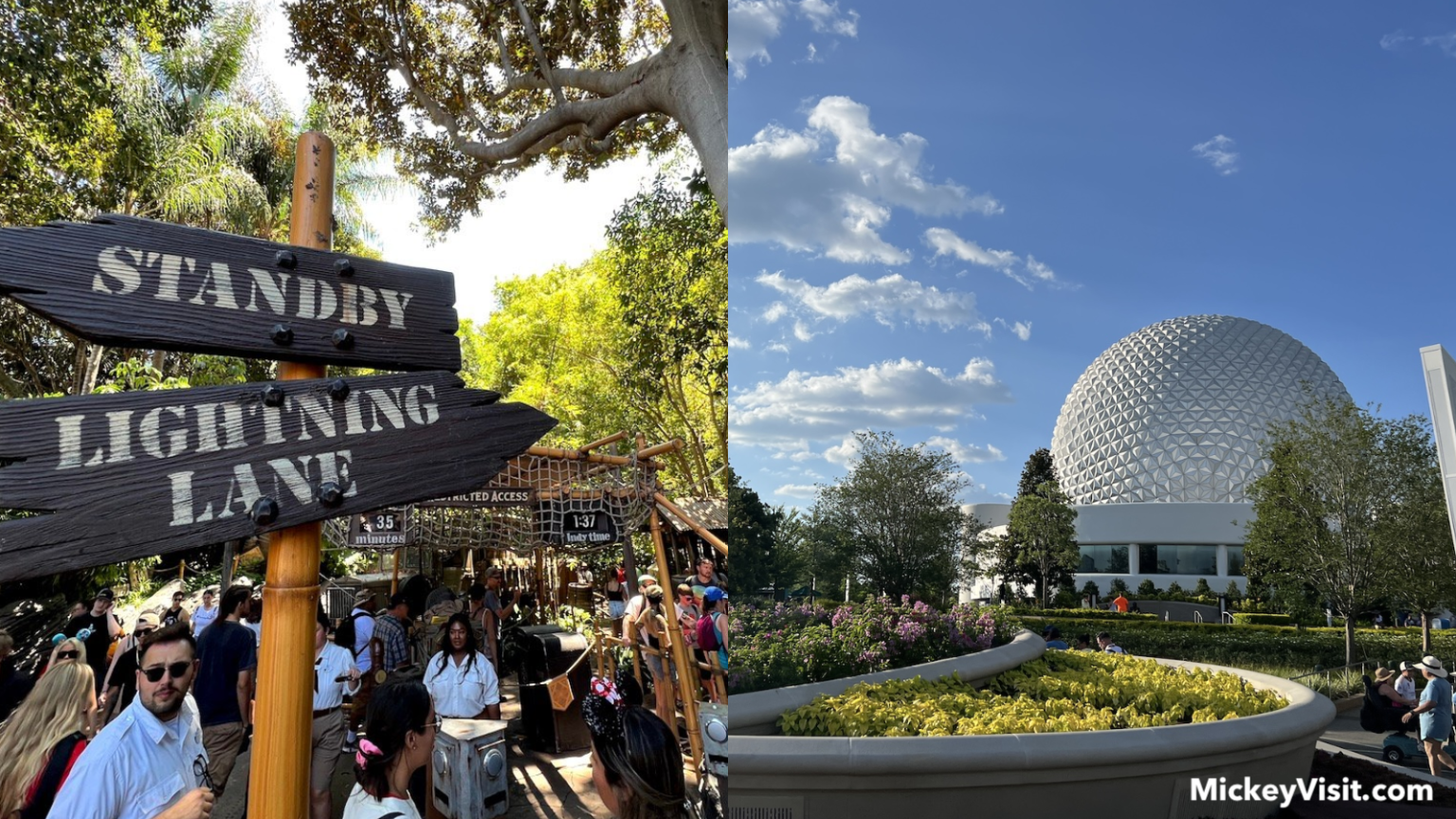 10 Things You Think You Need for Your Disney Trip, But Absolutely Don’t