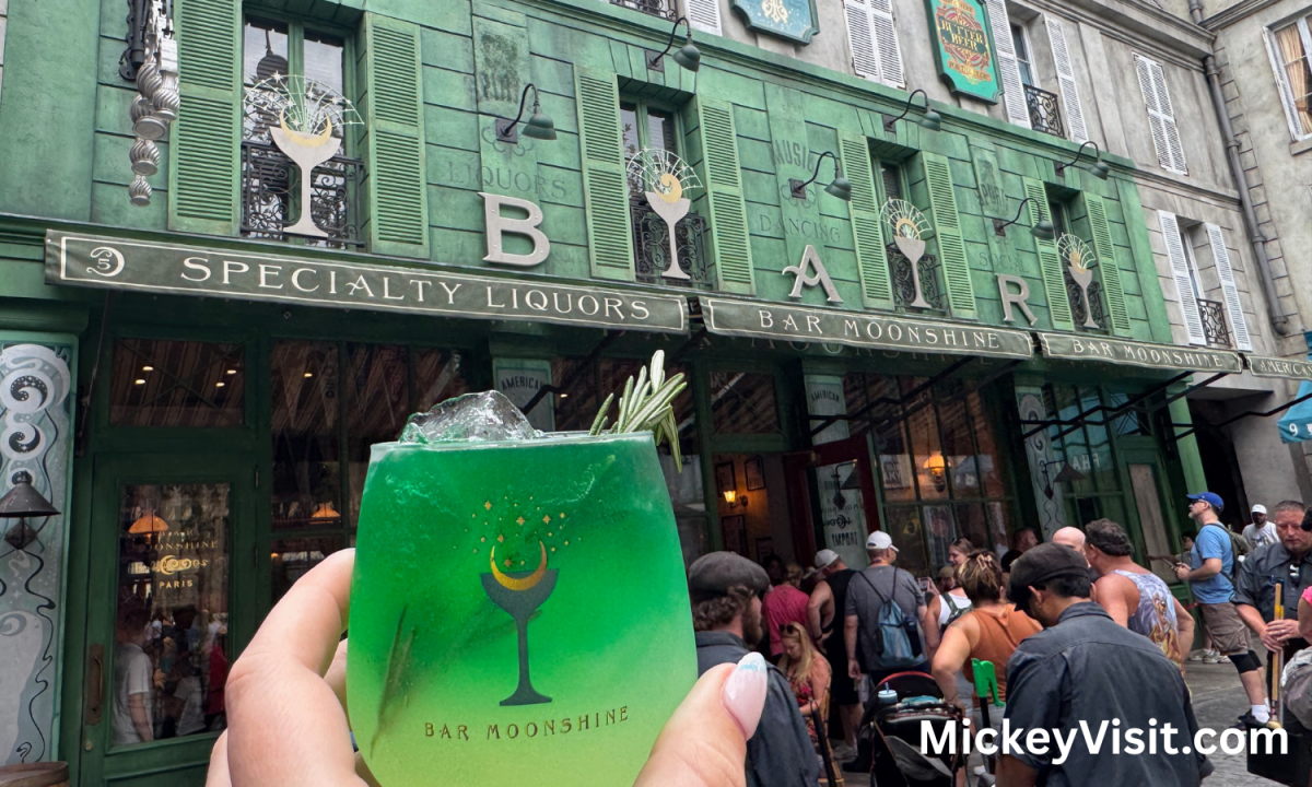 You Need to Check Out This Hidden Harry Potter Bar - Mickey Visit ...