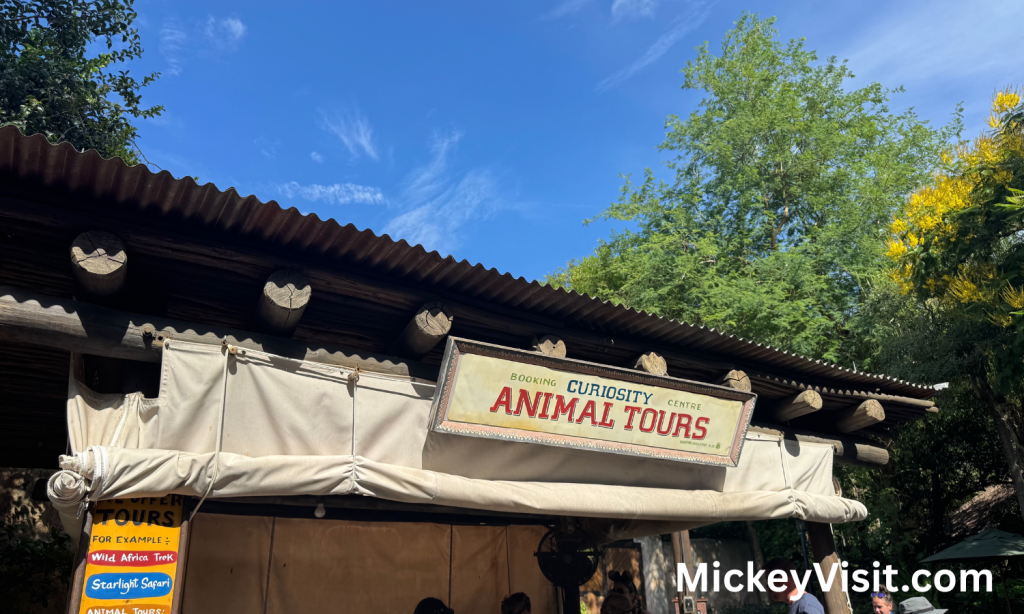 Caring for Giants Elephant Tour Review at Disney World