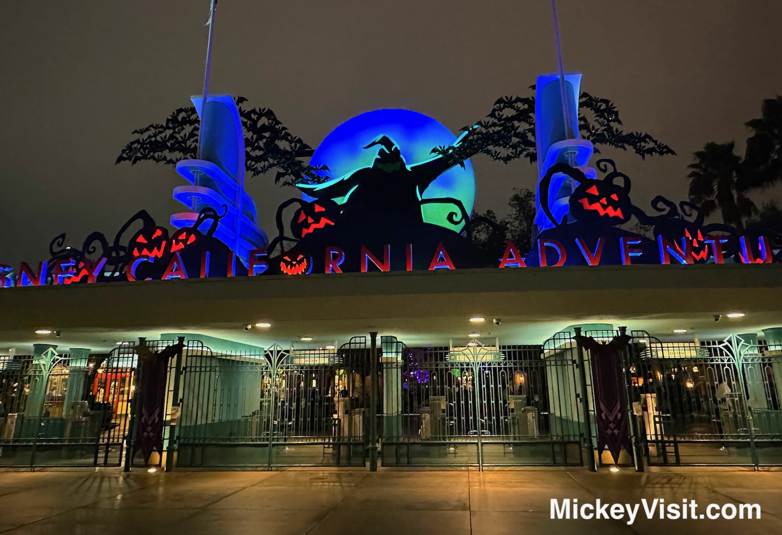 Disney Jail - Is it Real? What is it Like?