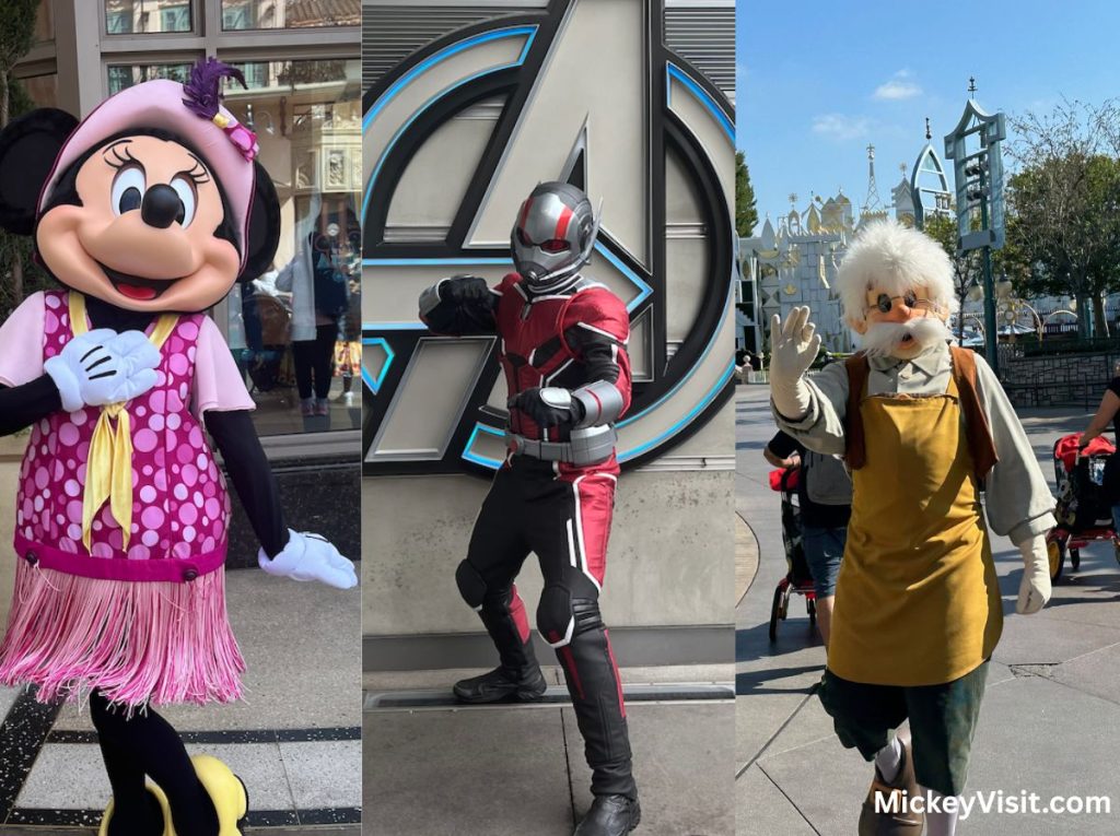 10 Weird Things Guests Try to Do at Disney Character Meet-and-Greets