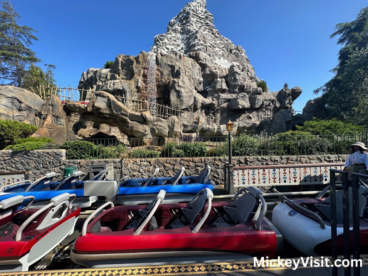Top 10 Fastest Rides at Disneyland Ranked by Actual Speeds