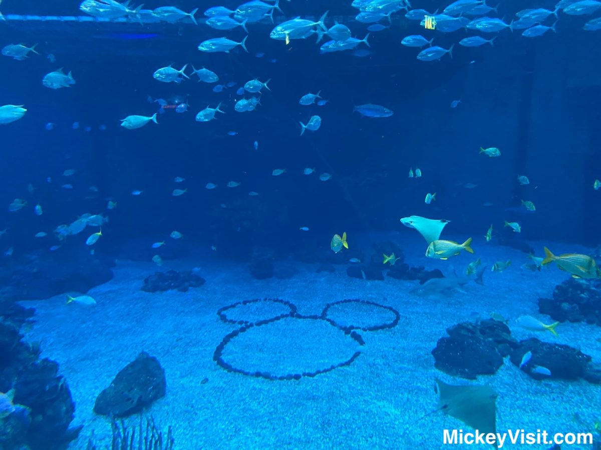 Iconic Disney World Restaurant Removing Meal Service - Mickey Visit ...