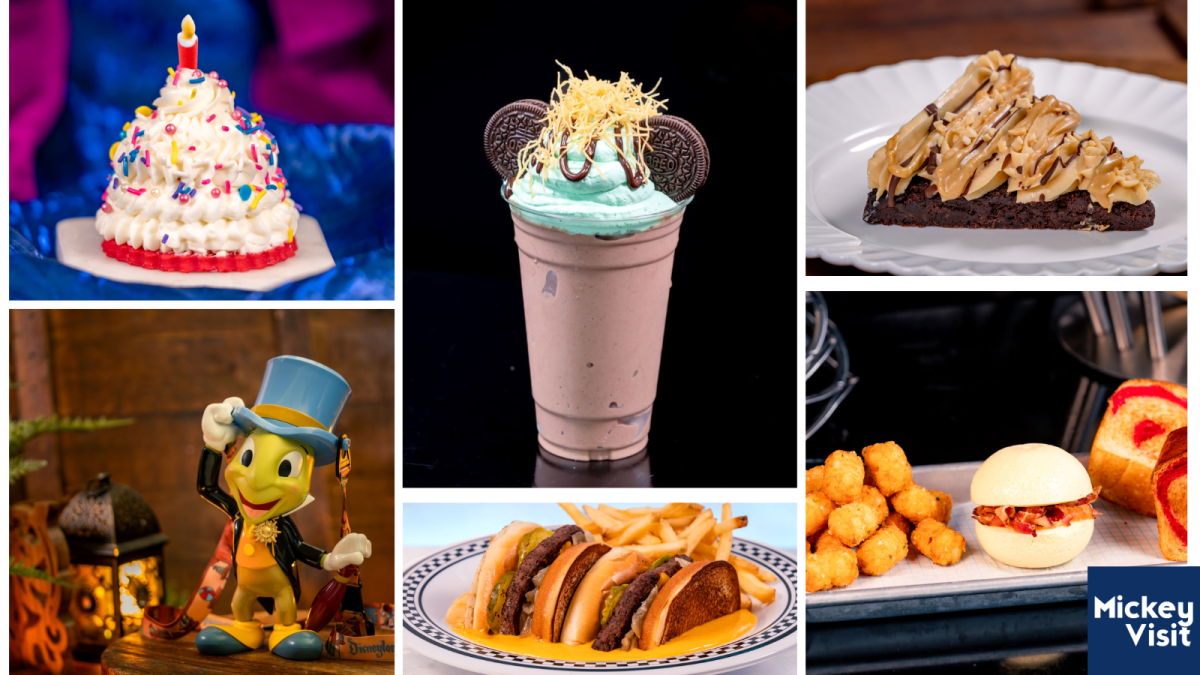 Disney World Horseback Riding, Pony Rides, Christmas Sleigh Ride Experience