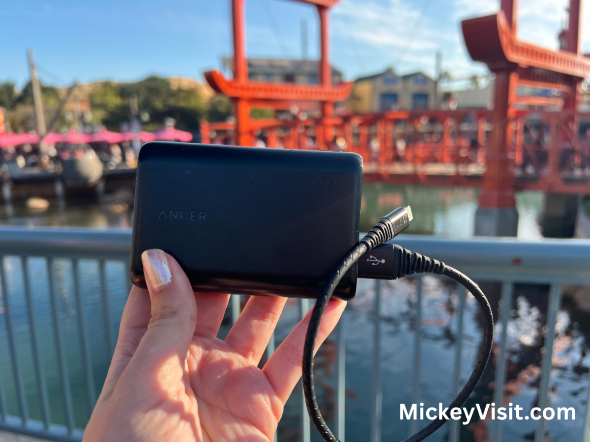 WARNING! One of Our Disney Trip Essentials Recalled by Manufacturer