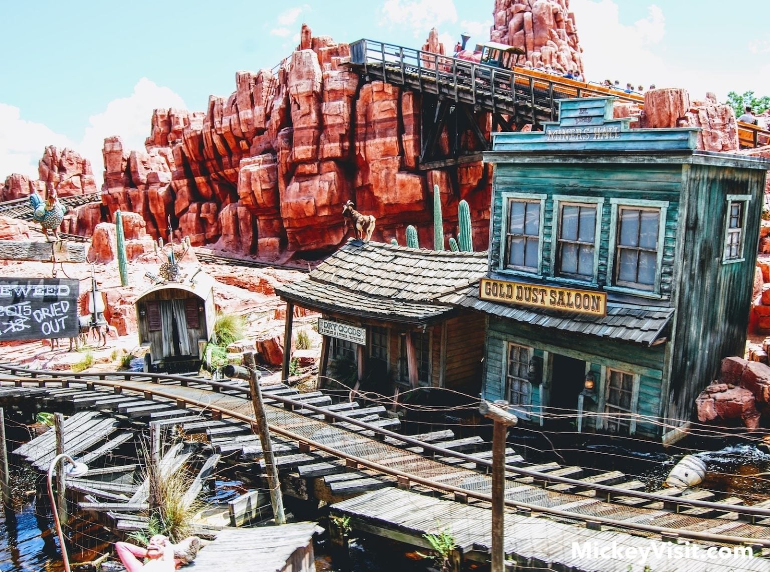 Disney World Roller Coaster Finally Reopening After Over a Year