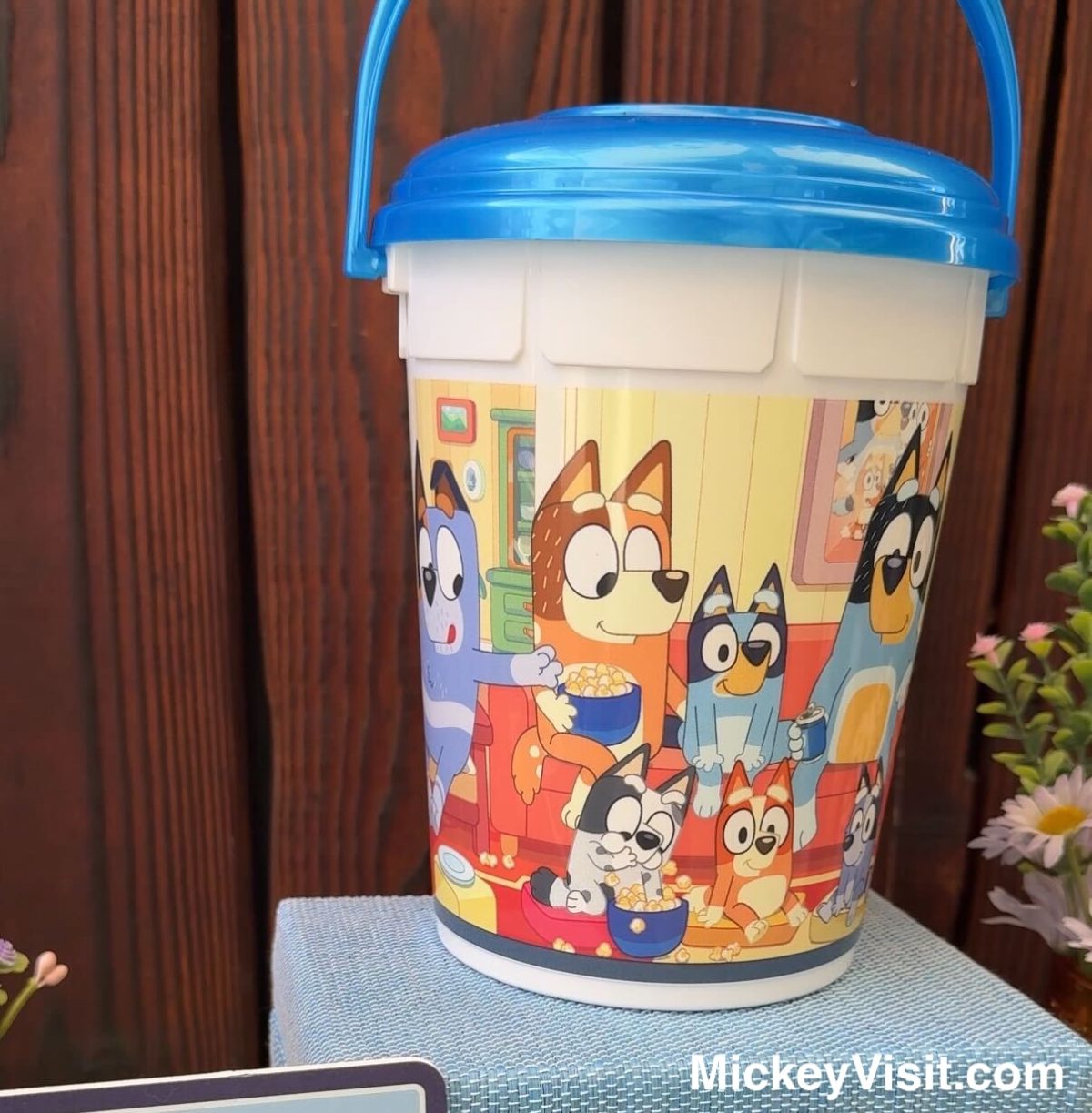 All Disneyland Popcorn Buckets Available Right Now in April 2026 ...