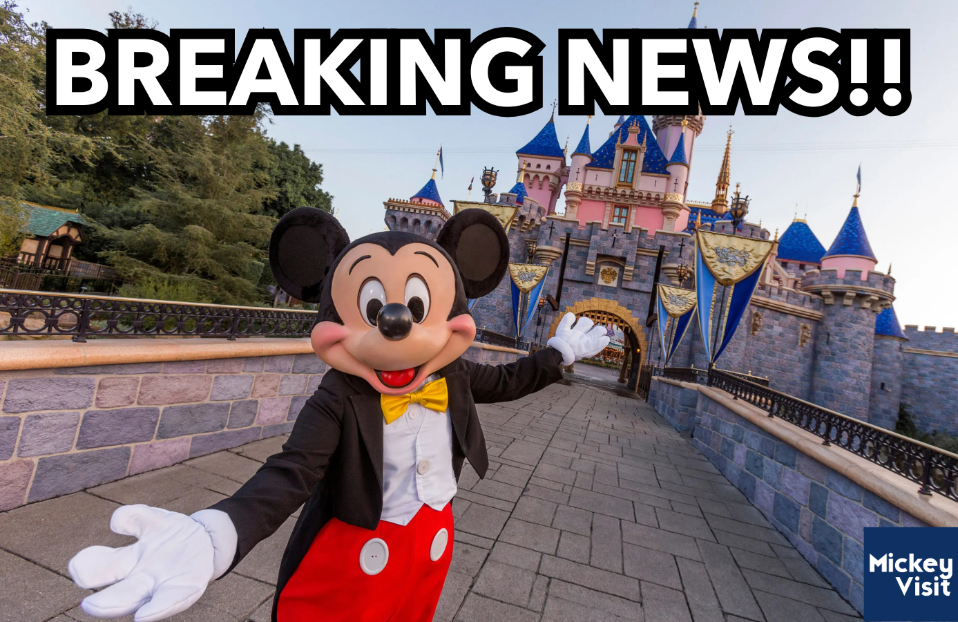 Disney Made 9 Big Announcements Today About Future Expansion and ...