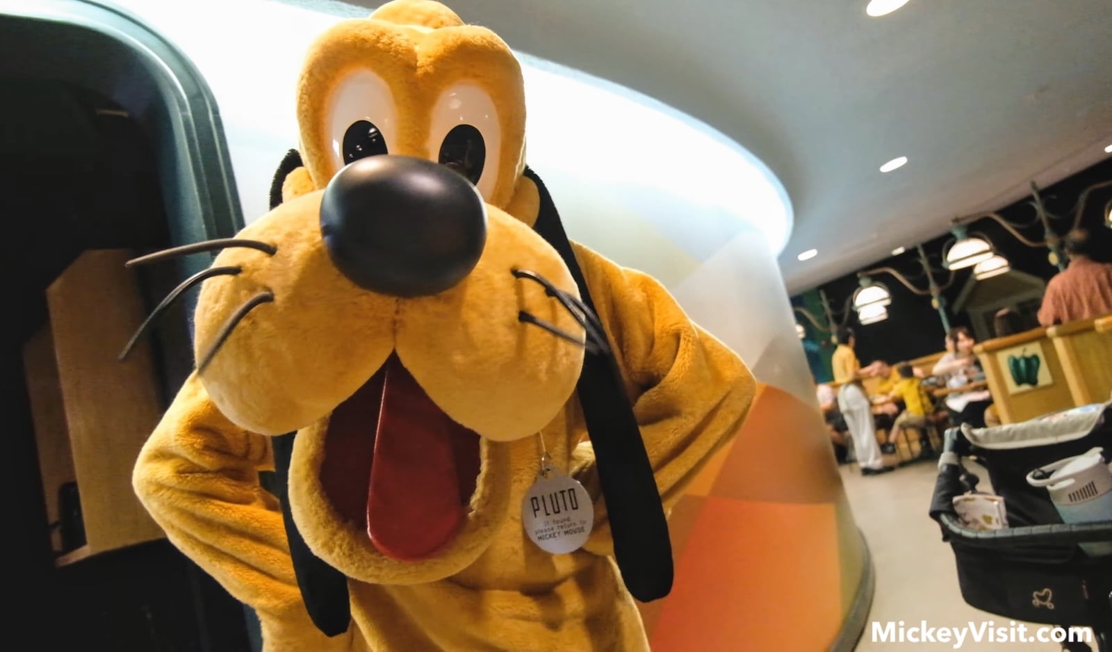 Disney World Announces 40% off Dining Discount for Annual Pass Holders
