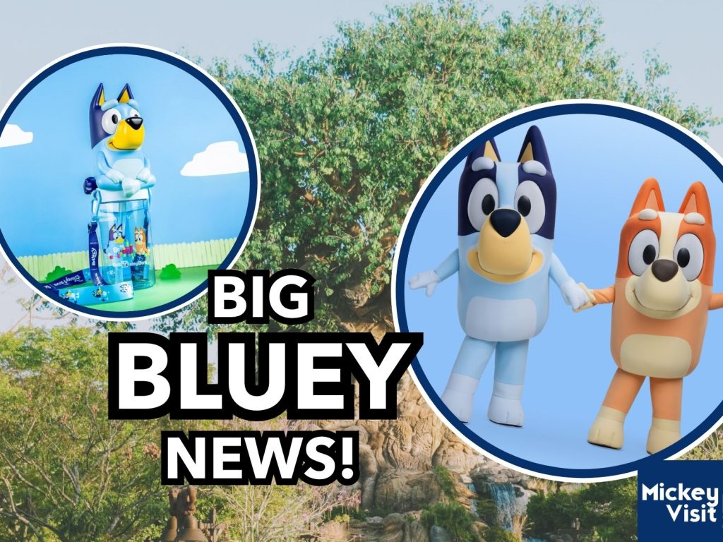 How to Access Disney World's New Bluey Attraction! No Standby Line Offered