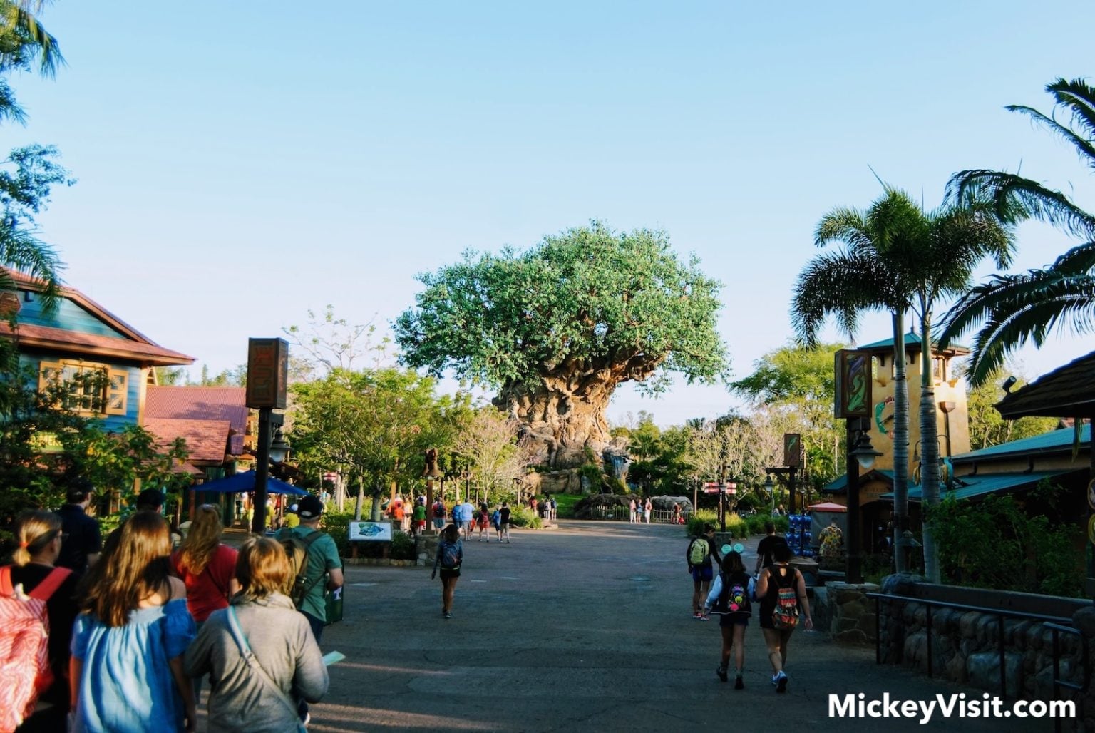 Disney World News & Updates From Mickey Visit